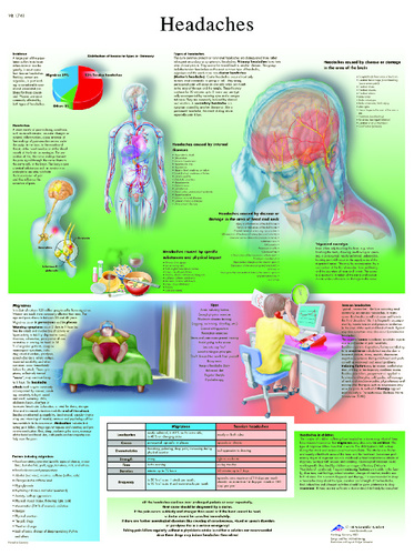 3B Scientific® Headache Chart | Charts