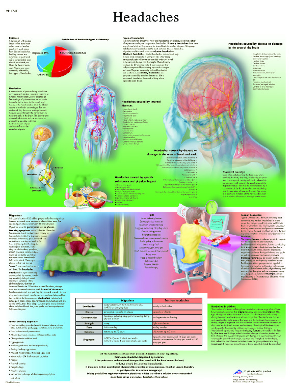 3B Scientific® Headache Chart | Charts