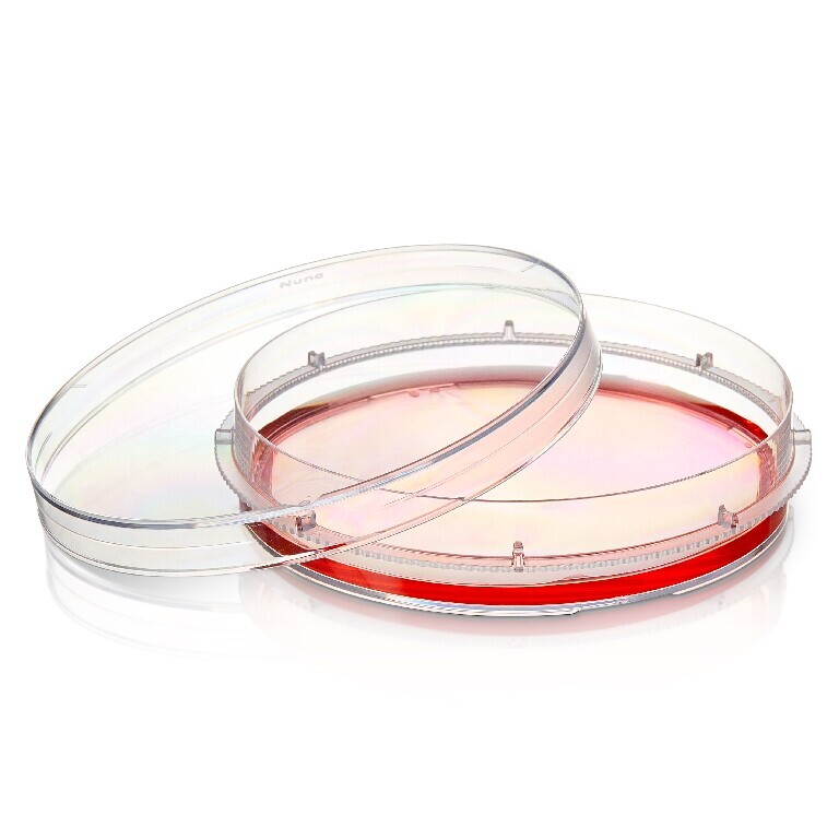 Nunc® UpCell® MultiDishes, Thermo Scientific | Cell Culture Dishes