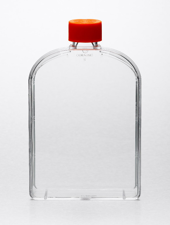 Corning® CellBIND® Flasks, Sterile, Corning | Cell Culture Flasks