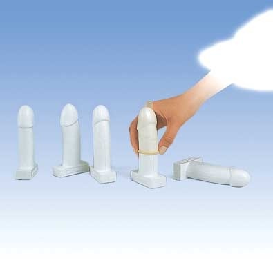 Condom Training Model Set | Human Biology Models