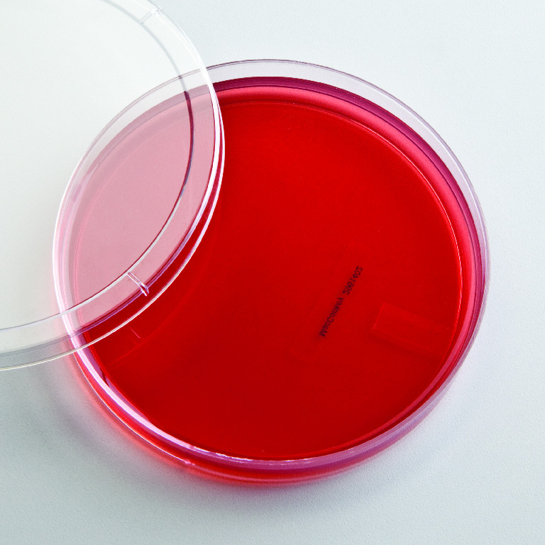 undefined | Prepared Media for Microbiology