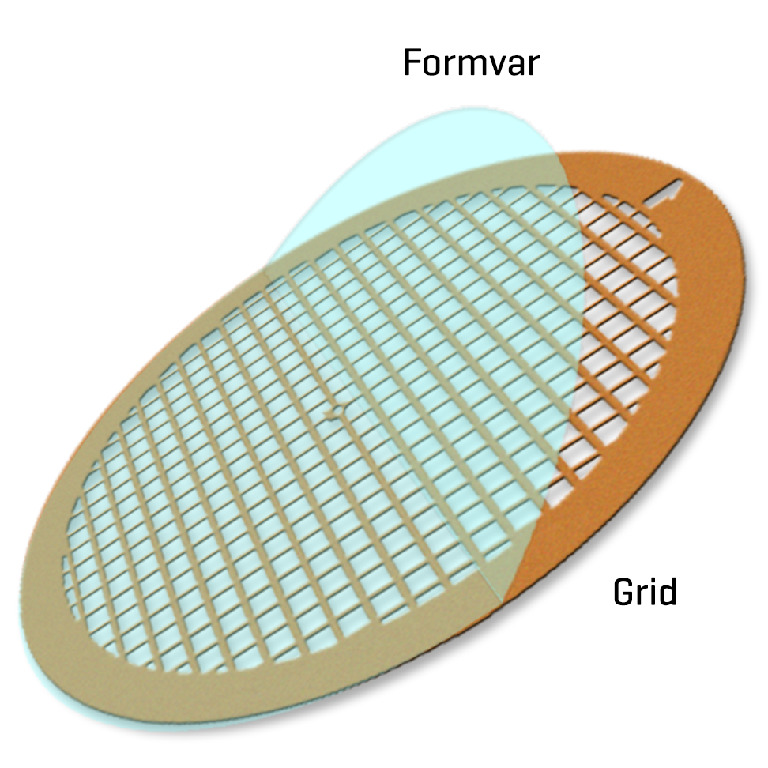 Formvar Film on Slotted Grids, Electron Microscopy | Graticules ...