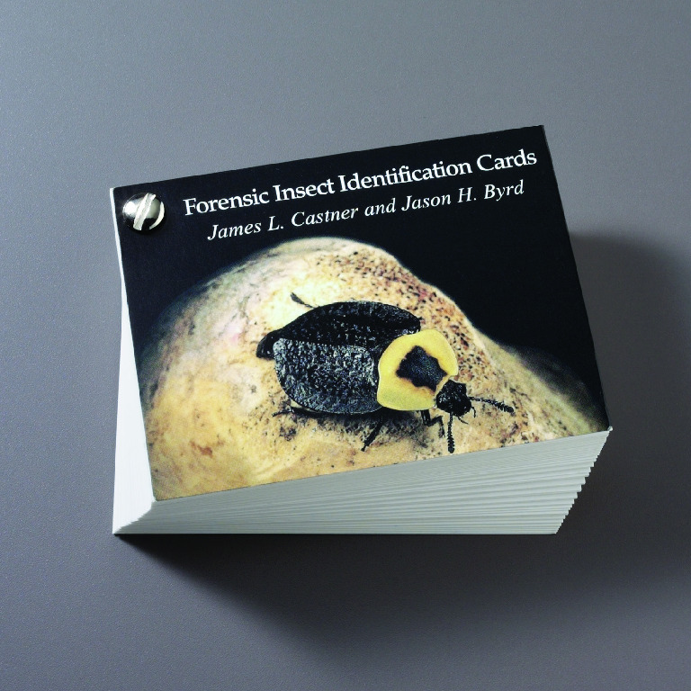 Forensic Insect Identification Cards | Trace Evidence Learning Activities