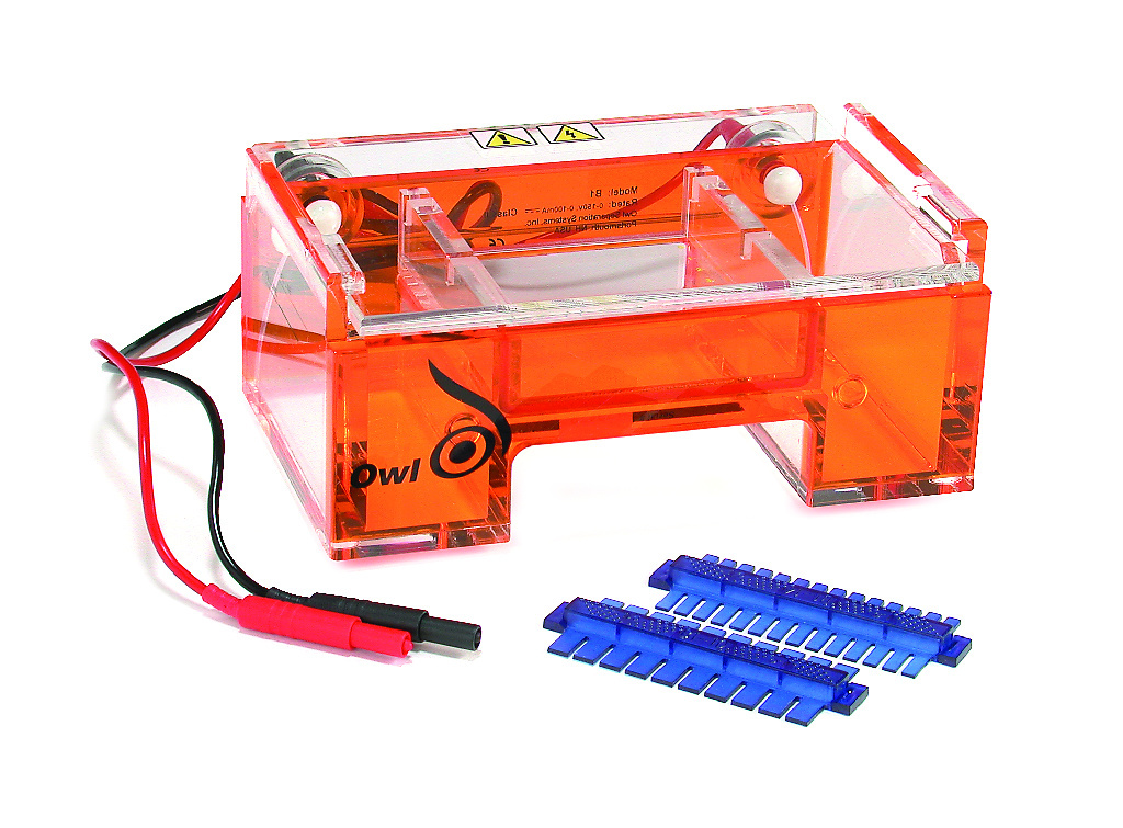 Combs for Owl™ EasyCast™ Mini Gel Electrophoresis System, Models B1, B2 ...