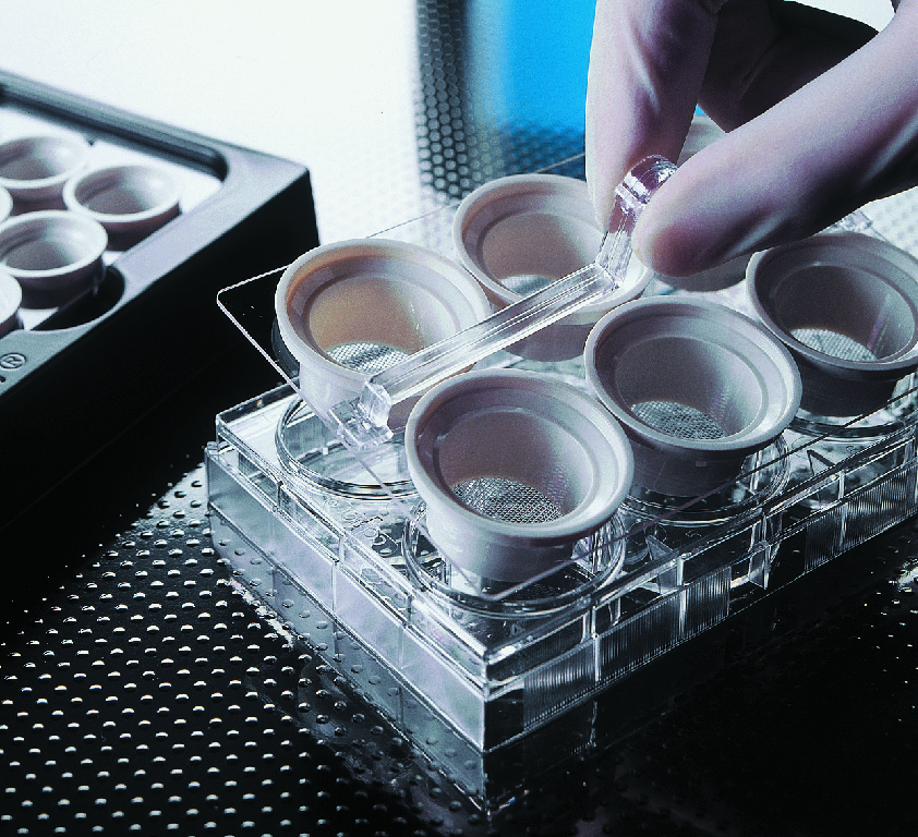 Accessories for Netwell™ Inserts, Sterile, Corning | Accessories