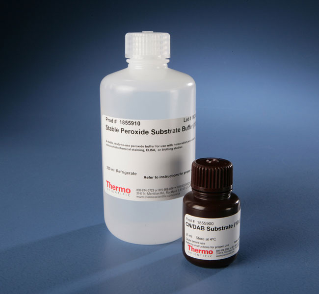 Pierce™ CN/DAB Substrate Kit, Thermo Scientific | Western Blotting Reagents