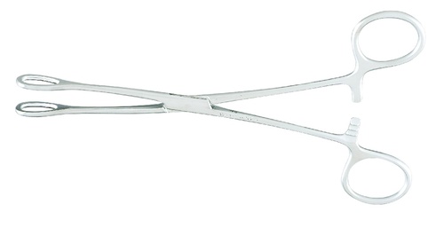VWR® Sponge Holding Forceps | Forceps