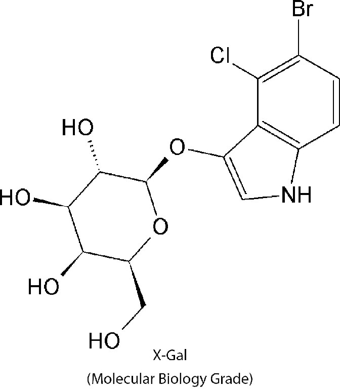 Molecular biology kit universal | Molecular Biology Kit