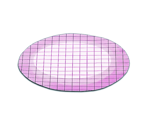 Membrane Filters with Grid, Sartorius | Membrane Filters