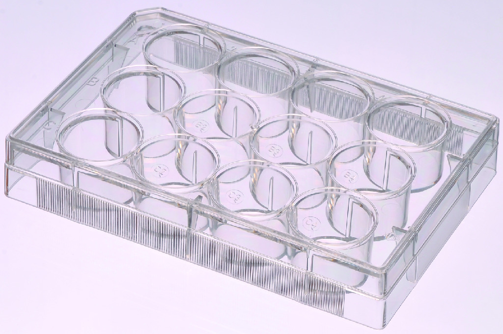 FLASK TC CN 25CM2 50ML 100/CS