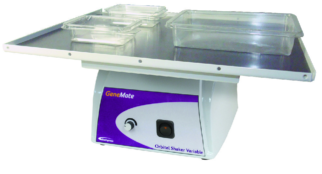 GeneMate Low Speed Orbital Shaker, Benchmark Scientific | Orbital Shakers