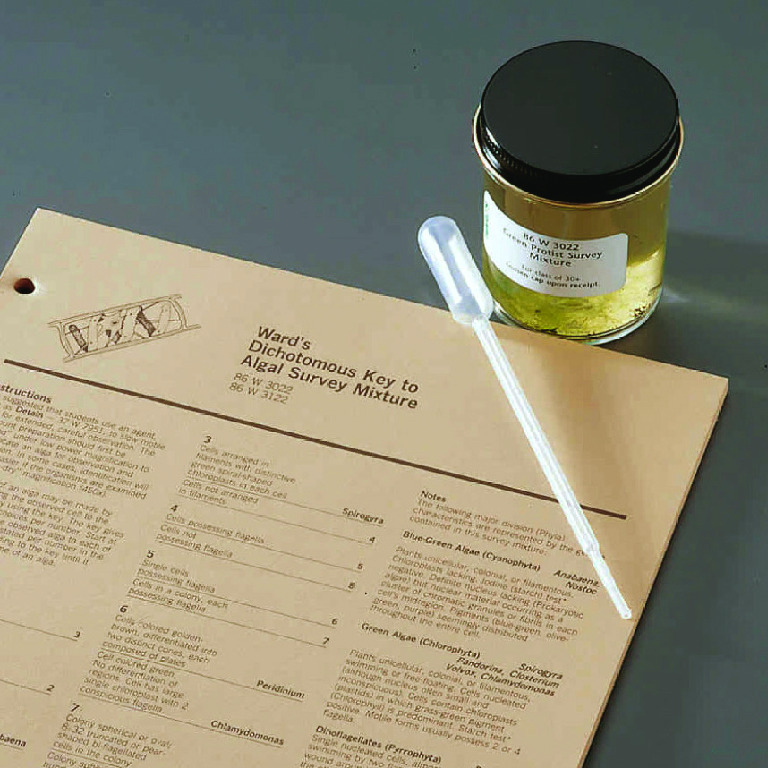 Green Protists | Protists - Living Material