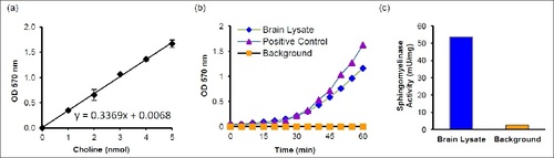 Sphingomyelinase Activity Colorimetric Assay Kit, BioVision | Cellular ...