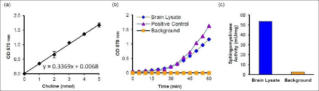 Sphingomyelinase Activity Colorimetric Assay Kit, BioVision | Cellular ...