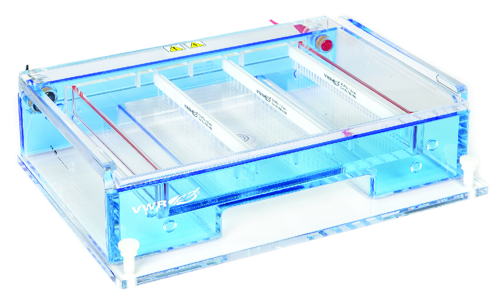 VWR® Horizontal MAXI M Gel Electrophoresis System | Horizontal Gel ...