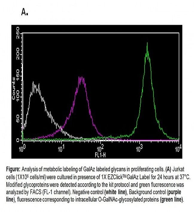 undefined | Protein Assays