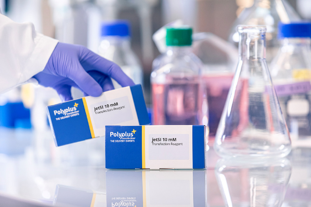 jetSI® 10 mm, siRNA transfection reagent - brain delivery, Polyplus ...