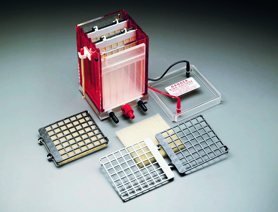 TE 22 Mini Tank Transfer Unit, Cytiva | Blotting Apparatus