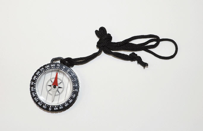 Liquid-Filled Magnetic Compass | Landforms Learning Activities