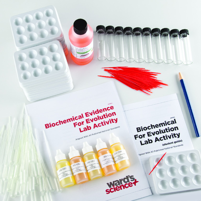 Biochemical Evidence for Evolution Lab Activity | Educational Classroom ...