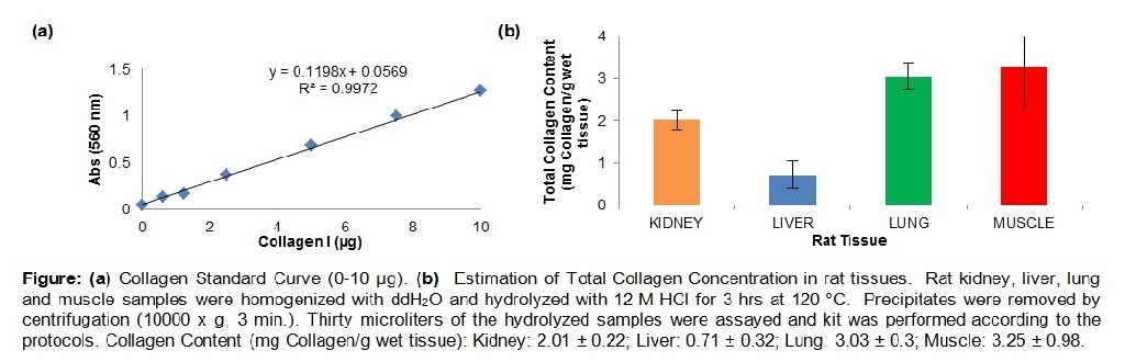 Total Collagen Assay Kit (Colorimetric), BioVision | Protein Assays