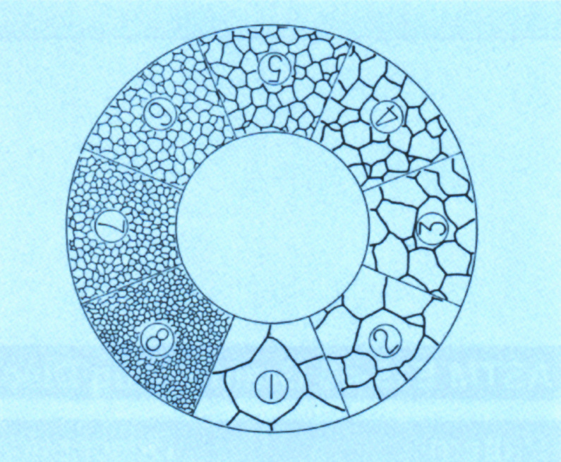 Metallurgical Graticles, Electron Microscopy Sciences | Graticules ...