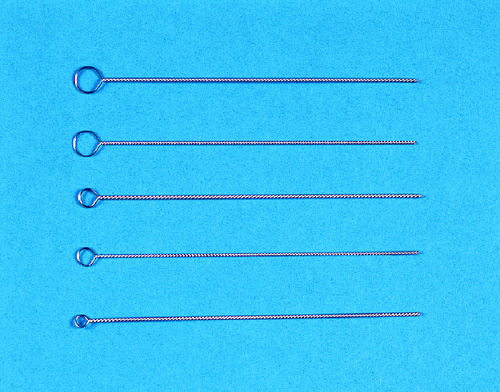 Inoculating Loops, Non-Calibrated, Nichrome | Inoculating Loops and Needles