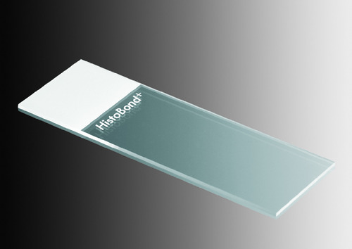 VWR® VistaVision™ HistoBond® Premium Adhesion Slides | Adhesive Slides