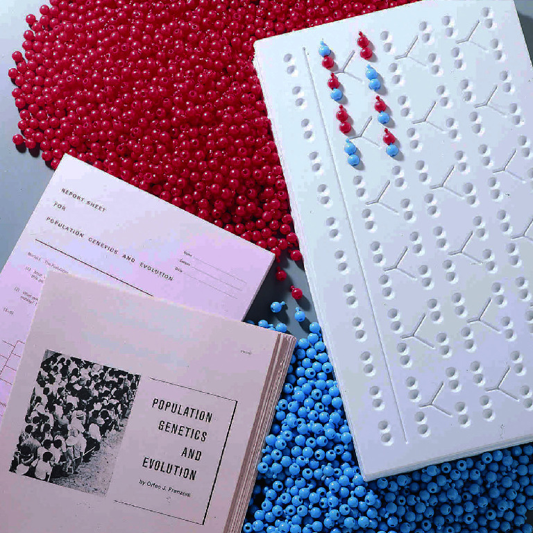 Ward's® Population Genetics and Evolution Lab Activity | Educational ...