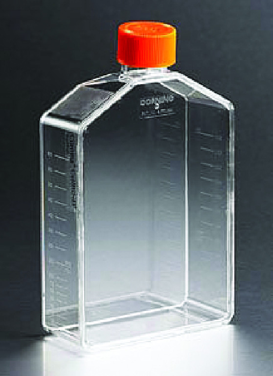 Corning® Cell Culture Flasks with Vent Cap, Non-Treated, Corning | Cell ...