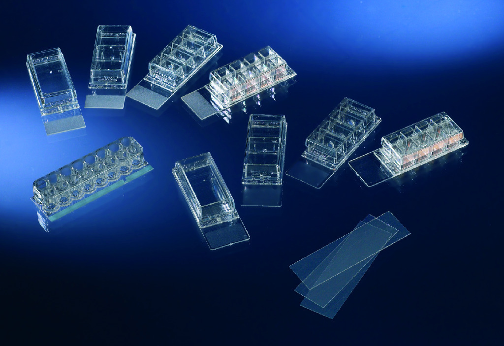 Nunc® Lab-Tek™ Chamber Slide™ Systems, Sterile, Thermo Scientific ...