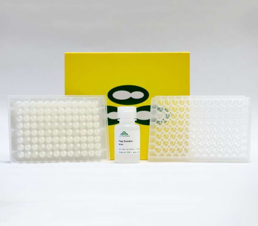 OneStep™ PCR Inhibitor Removal Kits, Zymo Research | Nucleic Acid ...