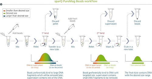 sparQ PureMag Beads, Quantabio | Next Generation Sequencing Reagents