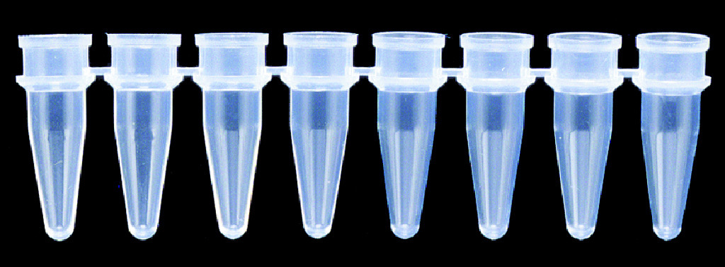 Axygen® PCR Tube Strips and Dome Cap Strips, Corning | PCR Tubes