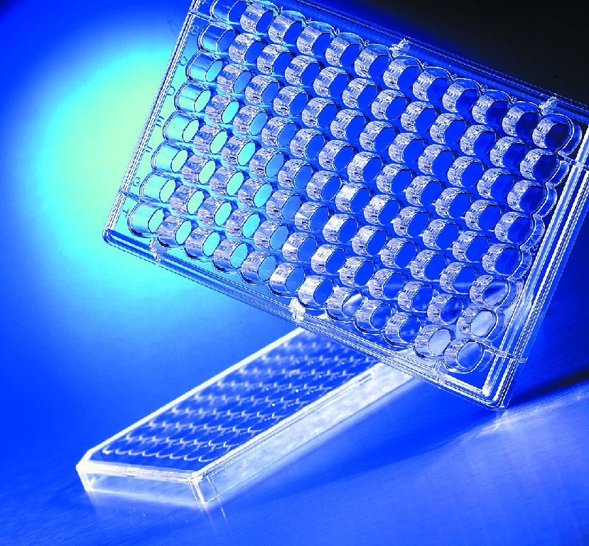 HTS Transwell® 96-Well Receiver Plate, Corning | Insert Plates and Inserts