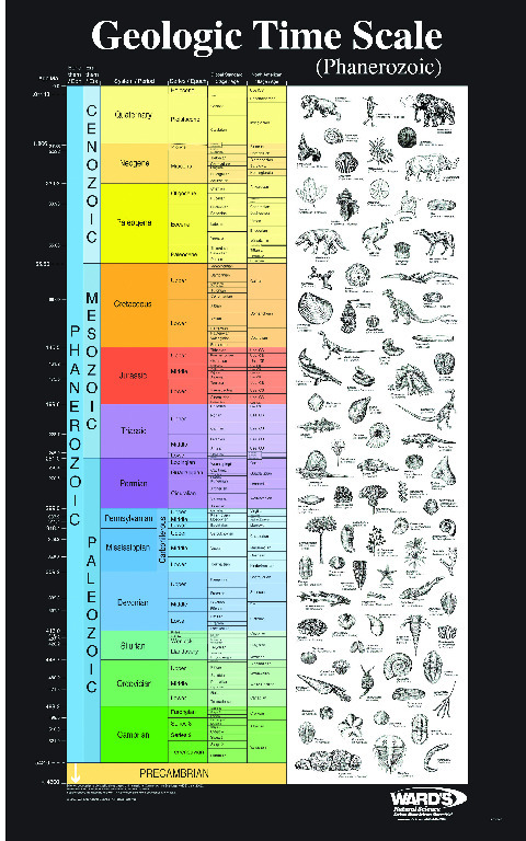 Ward's® Geologic Time Scale Charts | Charts