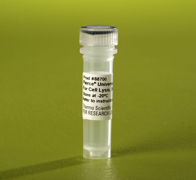 undefined | Cell Culture Supplements and Additives