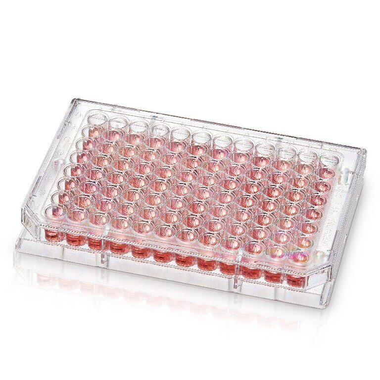Nunclon™ Delta 96-Well MicroWell™ Plates, Sterile, Thermo Scientific ...