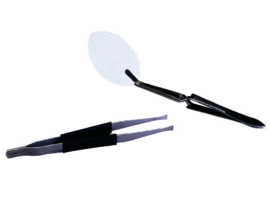 Nalgene® Filter Forceps, Thermo Scientific | Forceps