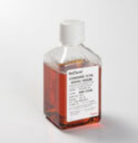 Trypsin Protease, HyClone™ | Cell Culture Supplements and Additives