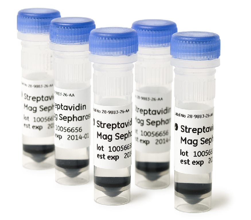 Streptavidin Mag Sepharose, Cytiva | Magnetic Beads