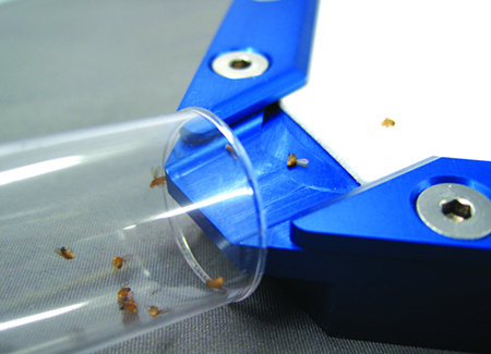 VWR® Complete Fly Workstation | Animal Anesthesia Systems