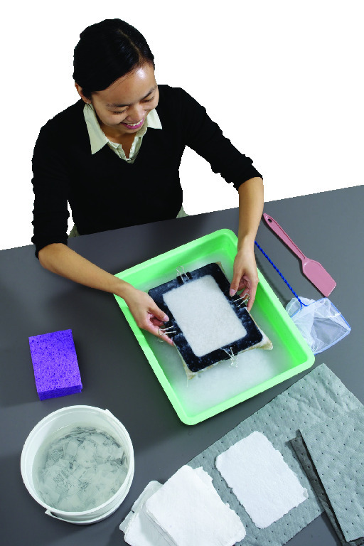 Ward's® Paper Recycling Kit | Educational Classroom Kits and Activities