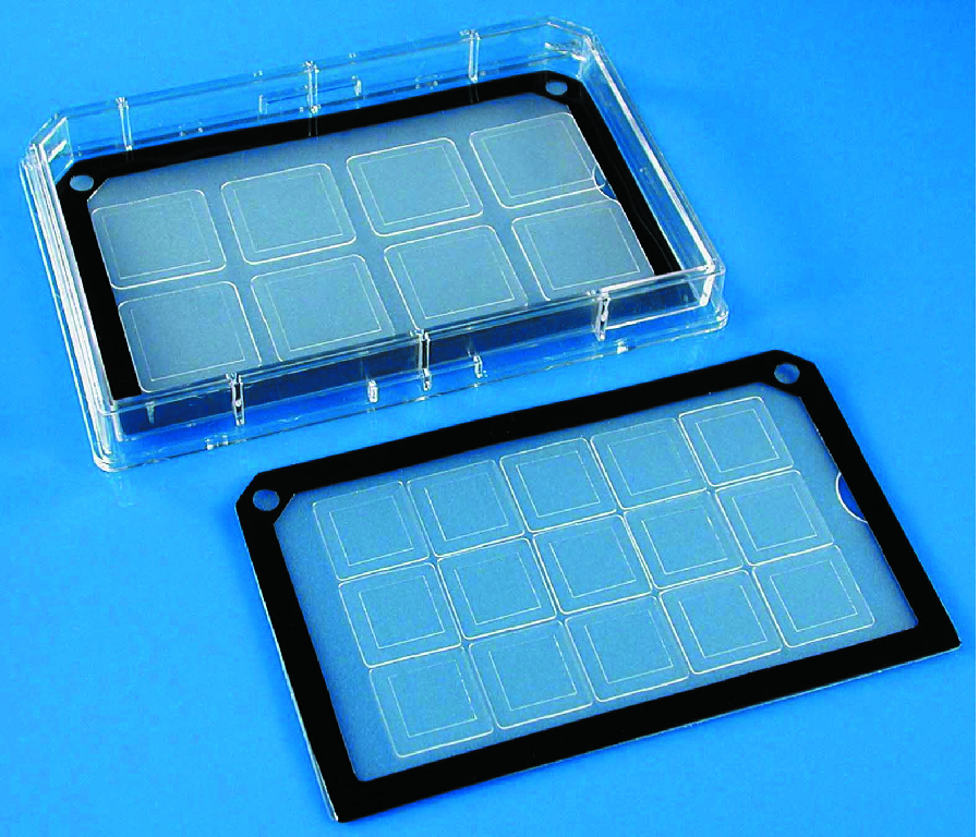 MultiSlip™ Cell Culture Coverslip Inserts, Electron Microscopy Sciences ...