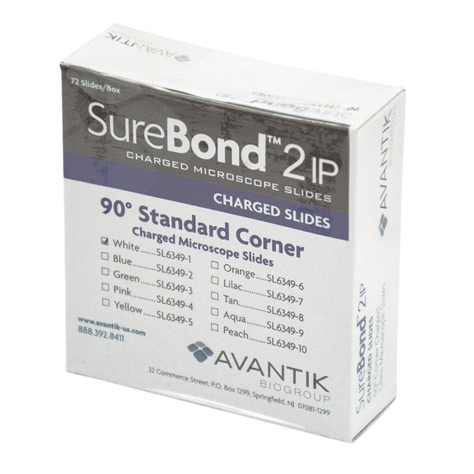SureBond™ 2 IP Paint Microscope Slides, Avantik | Microscope Slides