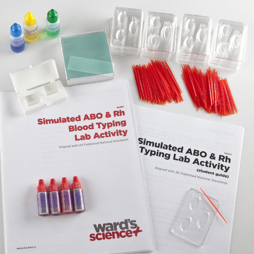Simulated ABO and Rh Blood Typing Lab Activity | Educational Classroom ...