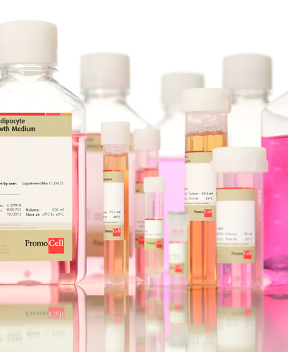 undefined | Cell Culture Media