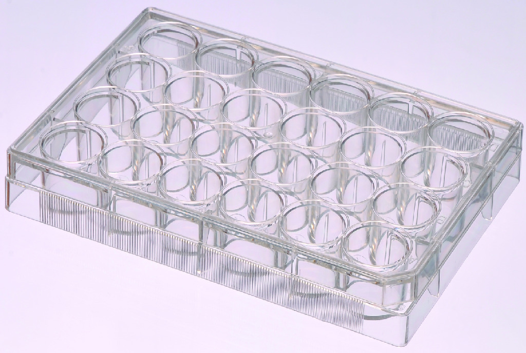 VWR® Multiwell Cell Culture Plates | Cell Culture Plates