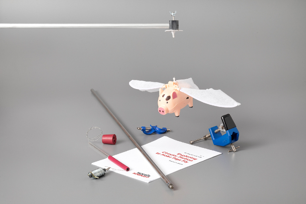 CENCO® AP Physics Lab 1.06: Exploring Circular Motion to Make Pigs Fly ...